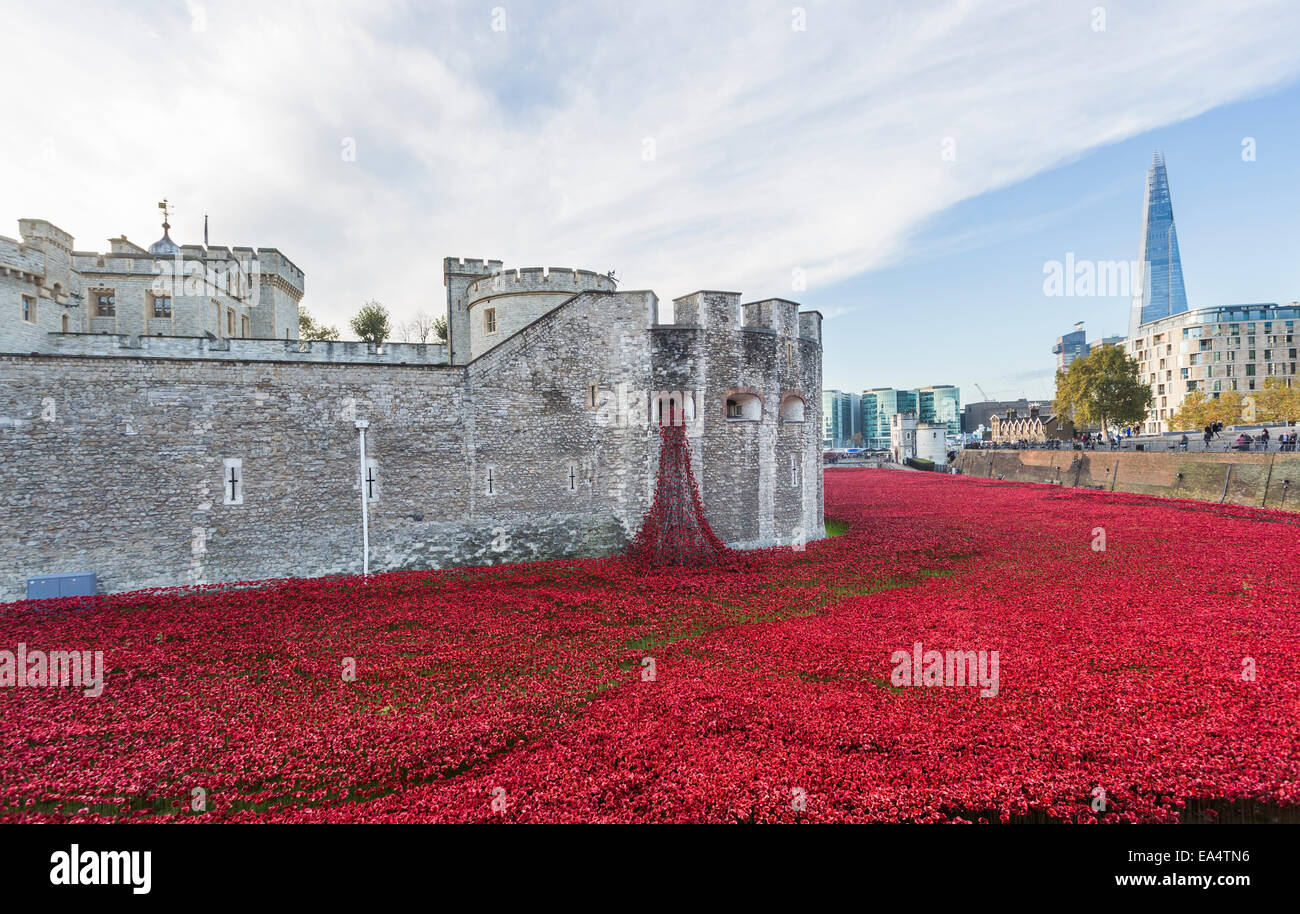 Red ceramic poppies cascading from the Weeping Window at The Tower Of ...