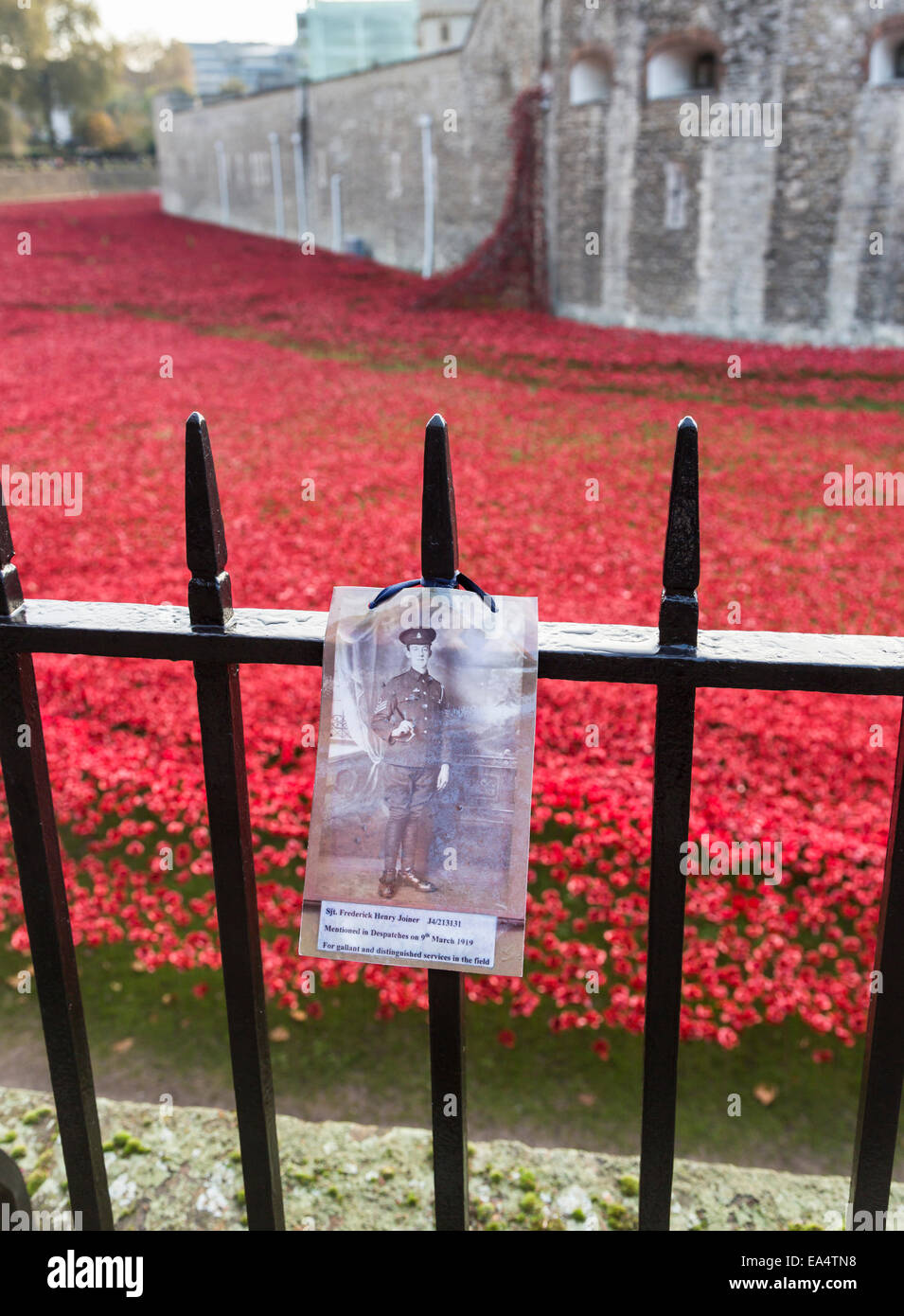 Tribute to a soldier on railings at the display of poppies at The Tower ...