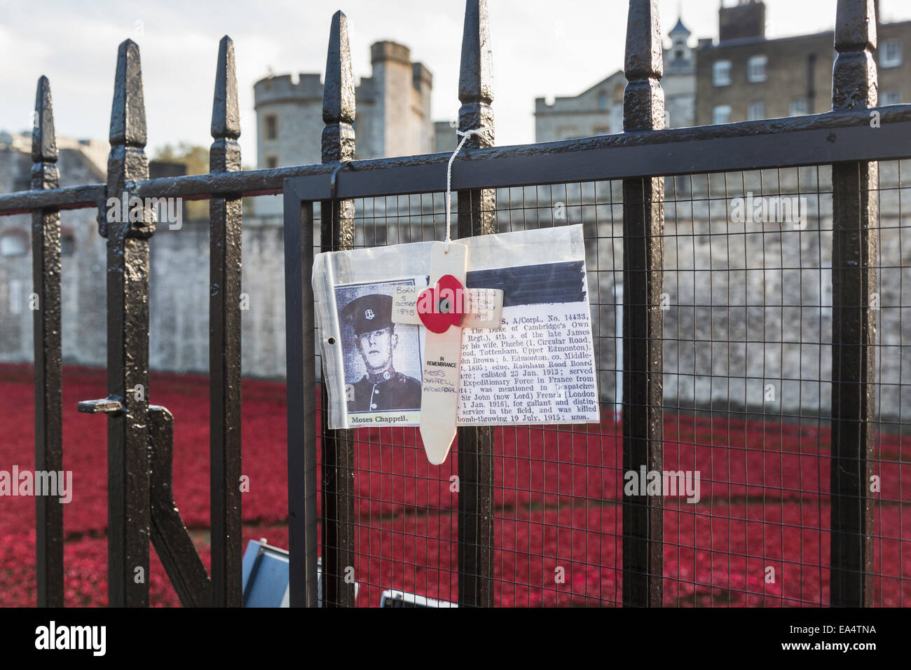 Tribute to a soldier on railings at the display of poppies at The Tower ...