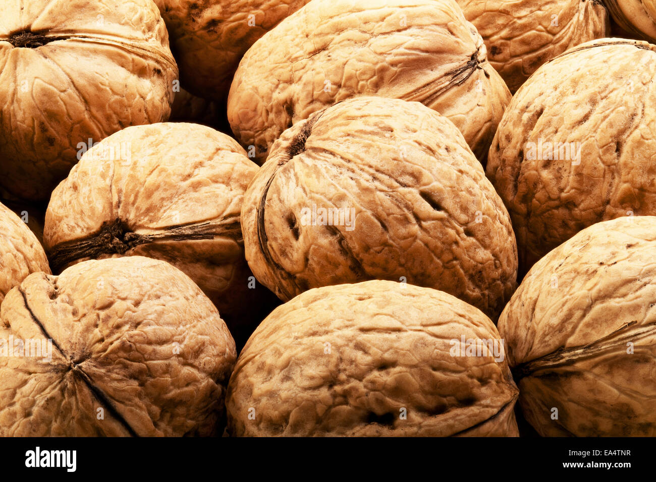Walnuts shells hi-res stock photography and images - Alamy