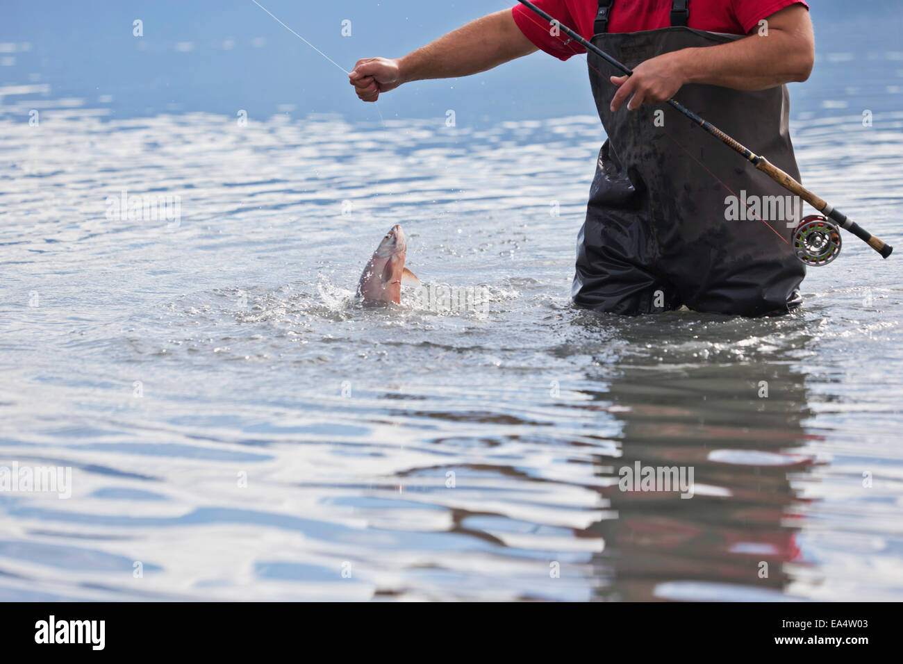 Snag fishing hi-res stock photography and images - Alamy