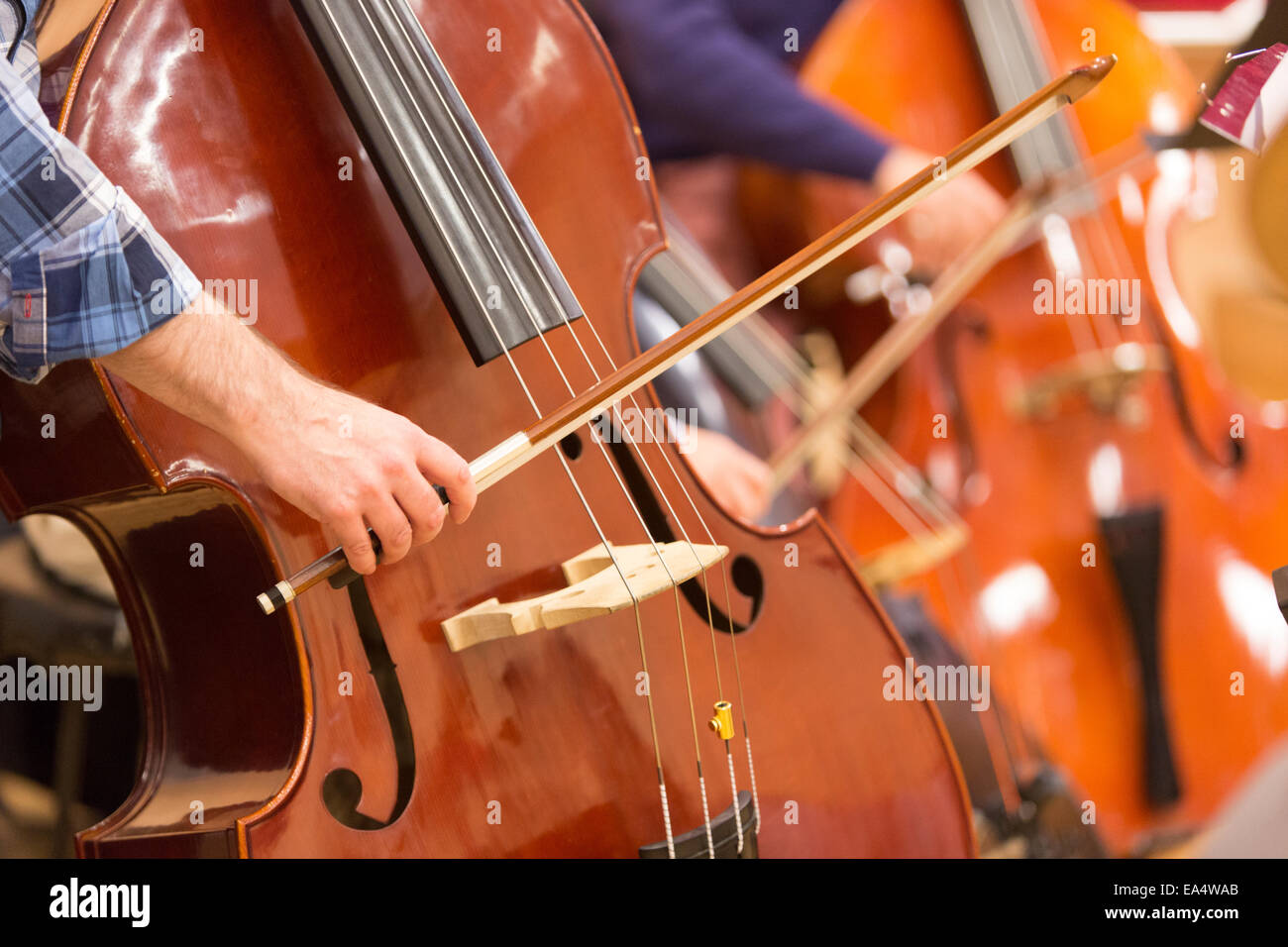 Close up playing double bass hi-res stock photography and images - Alamy