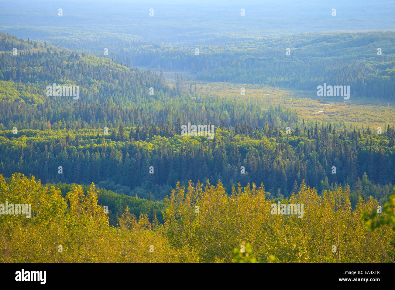 Prince Albert National Park, Saskatchewan, Canada Stock Photo - Alamy