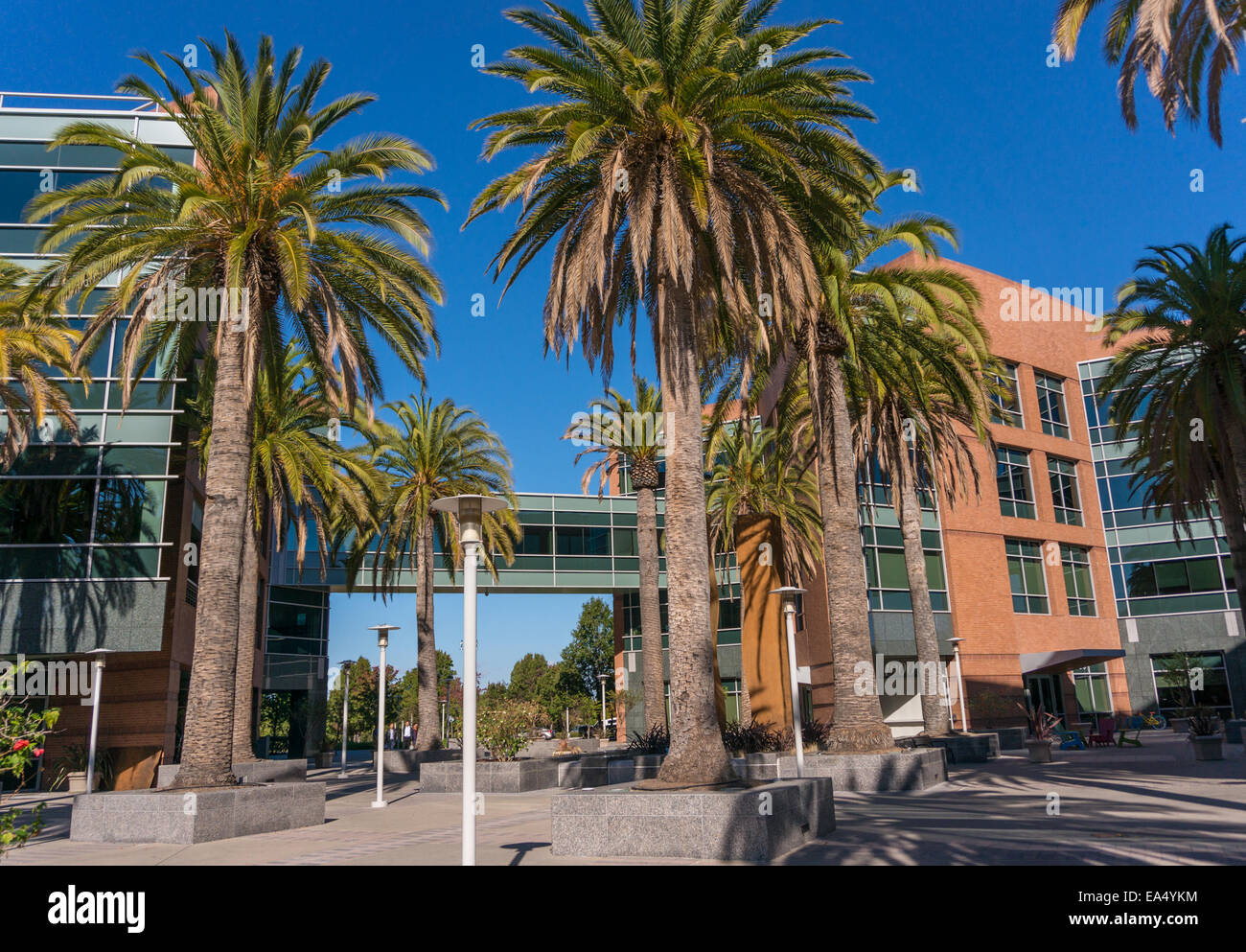 Exterior view of Google's Googleplex Corporate headquarters Stock Photo ...
