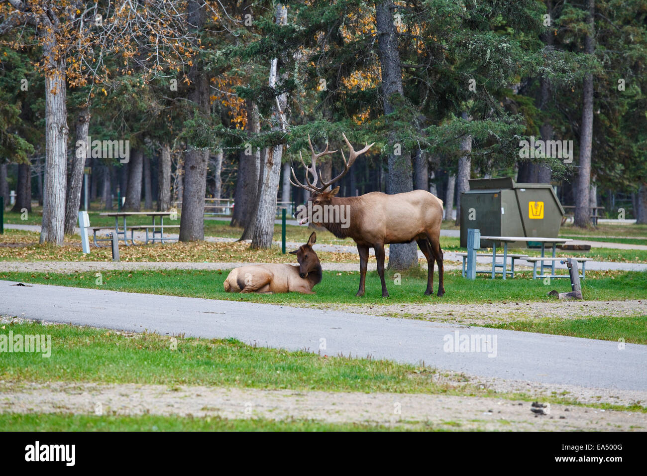 Prince albert national park hi-res stock photography and images - Alamy