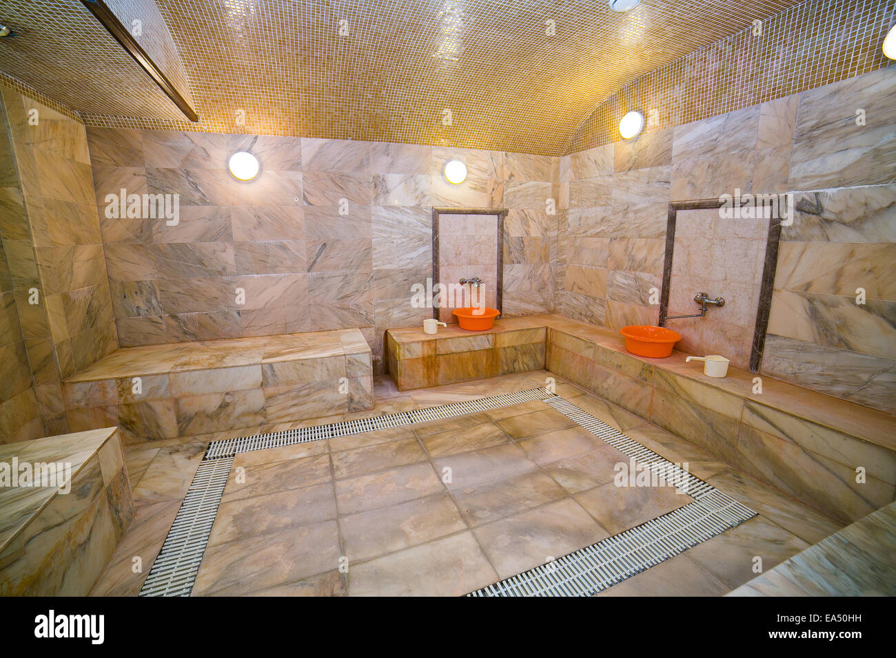 Body interior hi-res stock photography and images - Alamy