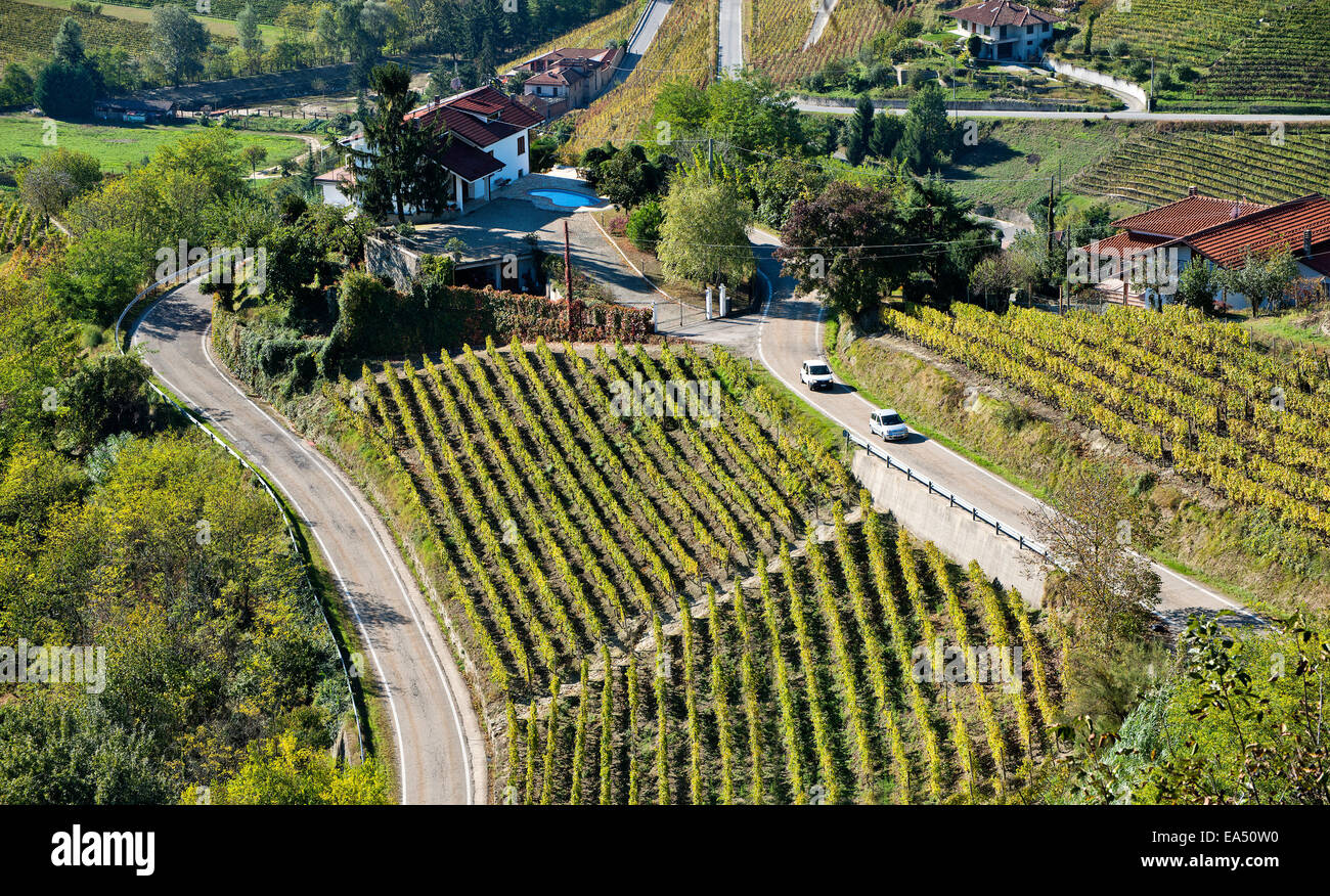 Italy,panorama of vineyards of Piedmont: Langhe-Roero and Monferrato on ...