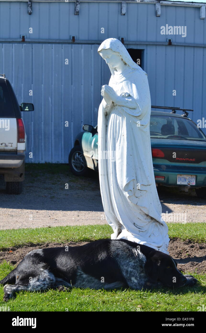 statue of Mary with dog at feet Stock Photo - Alamy