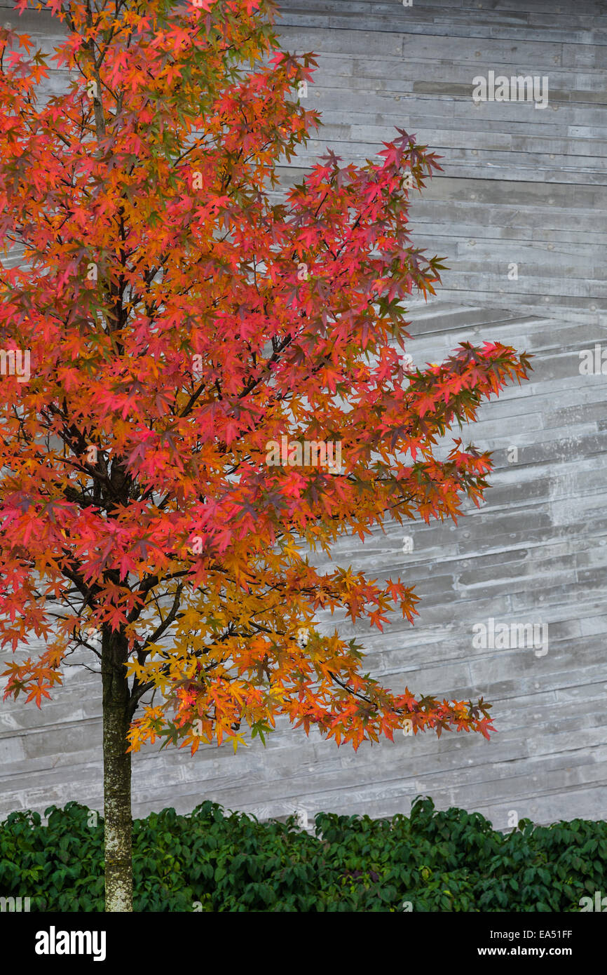 Shrubs against wall hi-res stock photography and images - Alamy