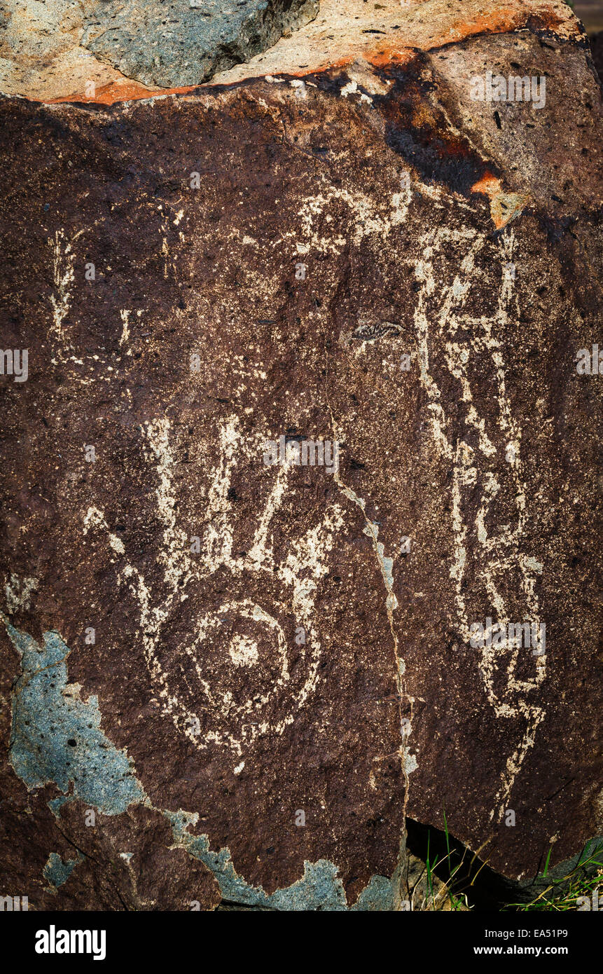 Petroglyphs at Three Rivers Petroglyph Site, Three Rivers, New Mexico ...