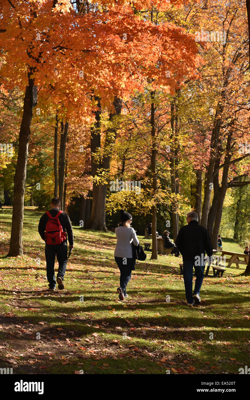 Autumn Trees Stock Photos & Autumn Trees Stock Images - Alamy
