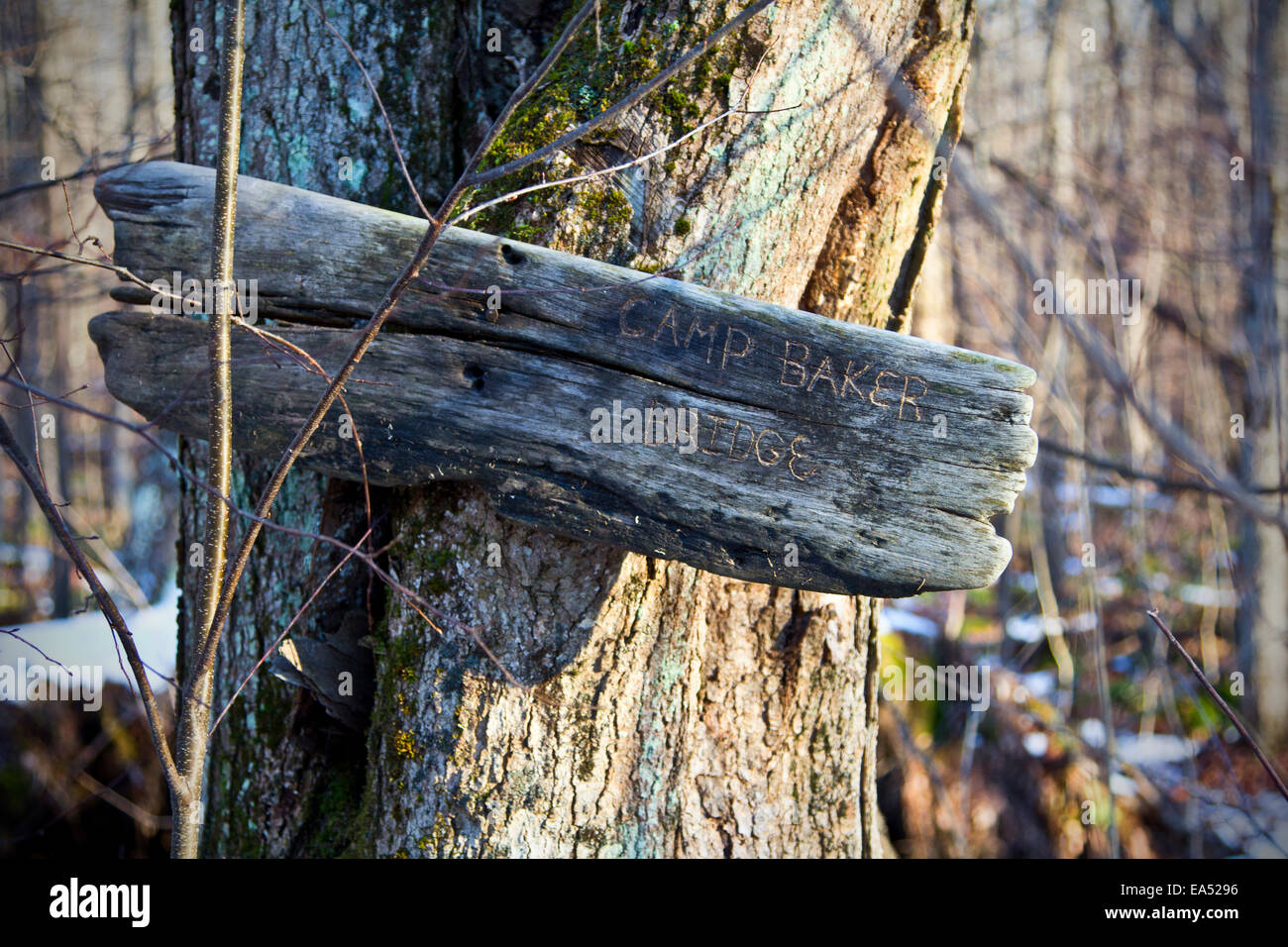 An old, weathered trail sign nailed to a tree Stock Photo - Alamy