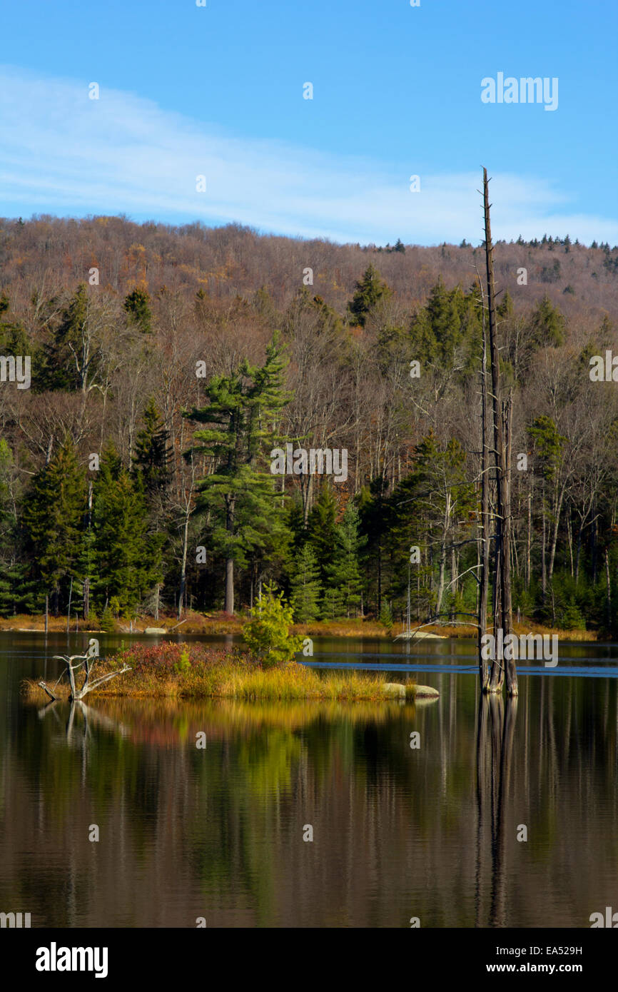 Late Fall on an Adirondack pond Stock Photo - Alamy