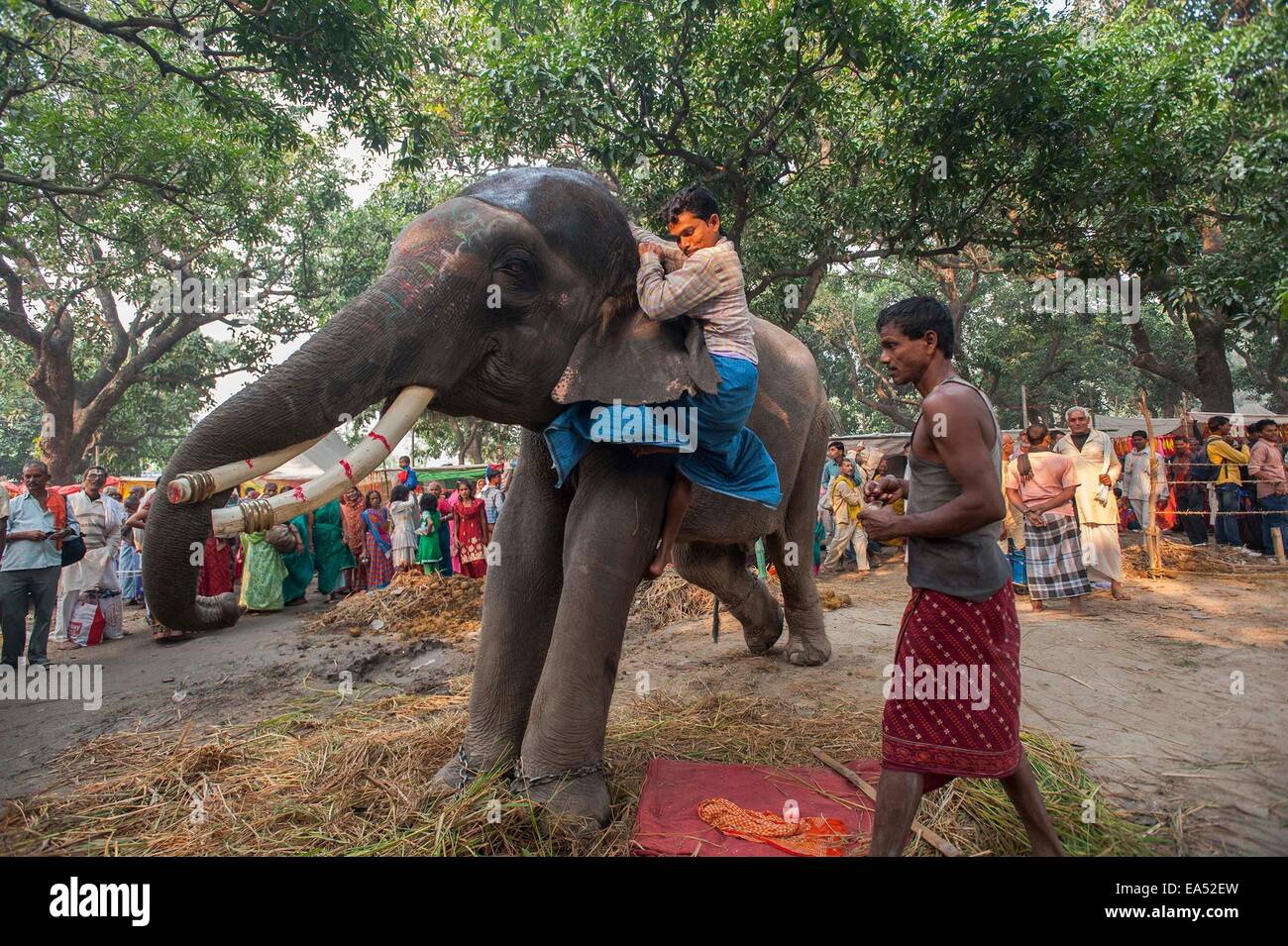 India bihar state patna sonepur hi-res stock photography and images - Alamy