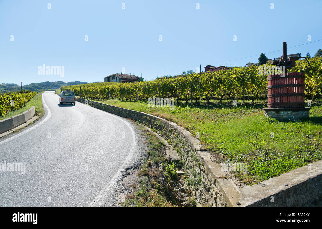 Italy,panorama of vineyards of Piedmont: Langhe-Roero and Monferrato on ...