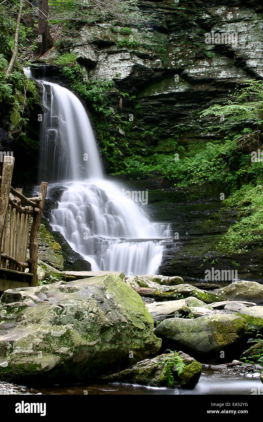 Bushkill creek hi-res stock photography and images - Alamy
