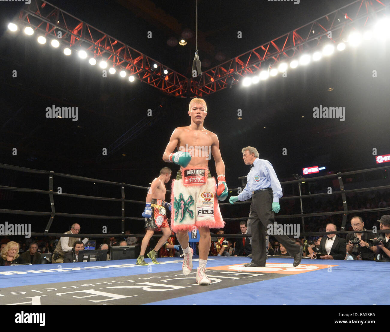 Chicago, Illinois, USA. 1st Nov, 2014. Tomoki Kameda (JPN) Boxing ...