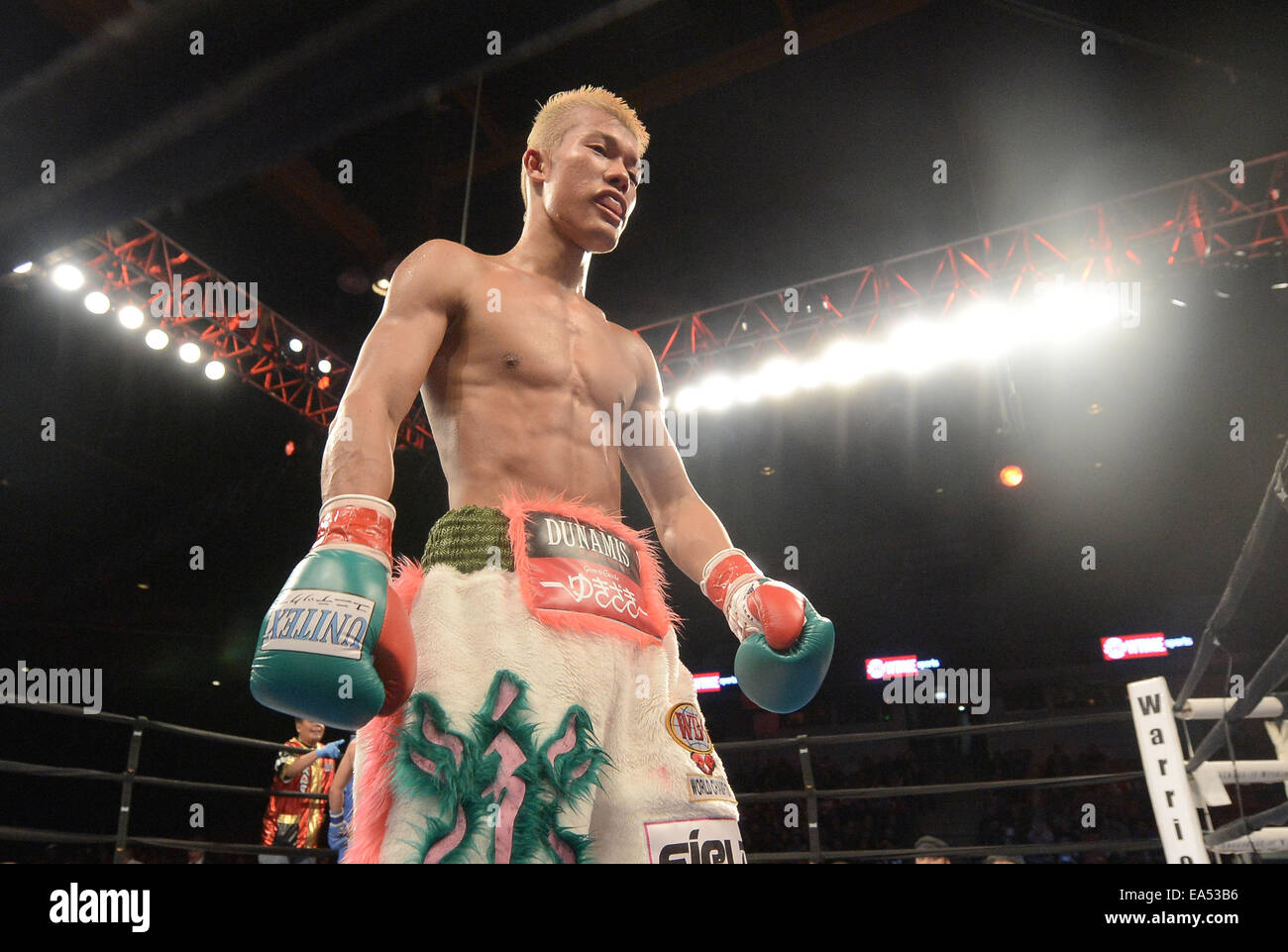 Chicago, Illinois, USA. 1st Nov, 2014. Tomoki Kameda (JPN) Boxing ...