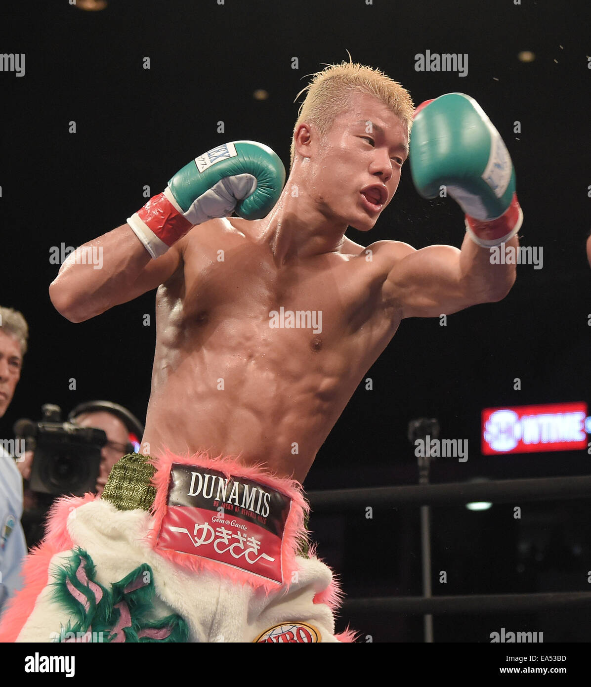 Chicago, Illinois, USA. 1st Nov, 2014. Tomoki Kameda (JPN) Boxing ...