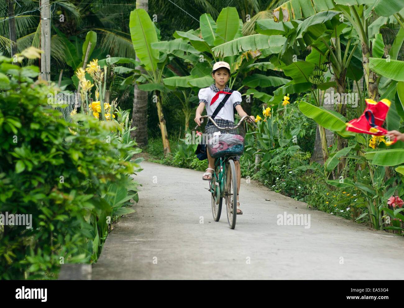 Ben tre bicycle hi-res stock photography and images - Alamy