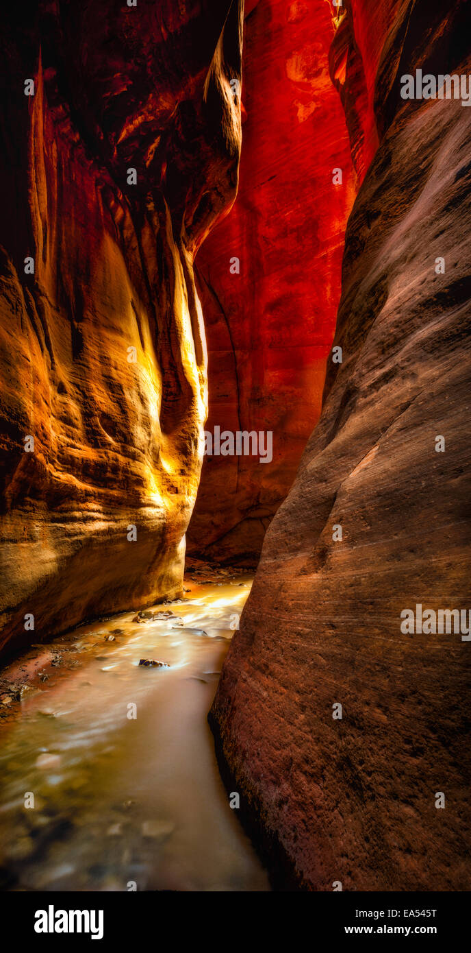 A Small creek runs through a narrow slot Canyon Stock Photo - Alamy