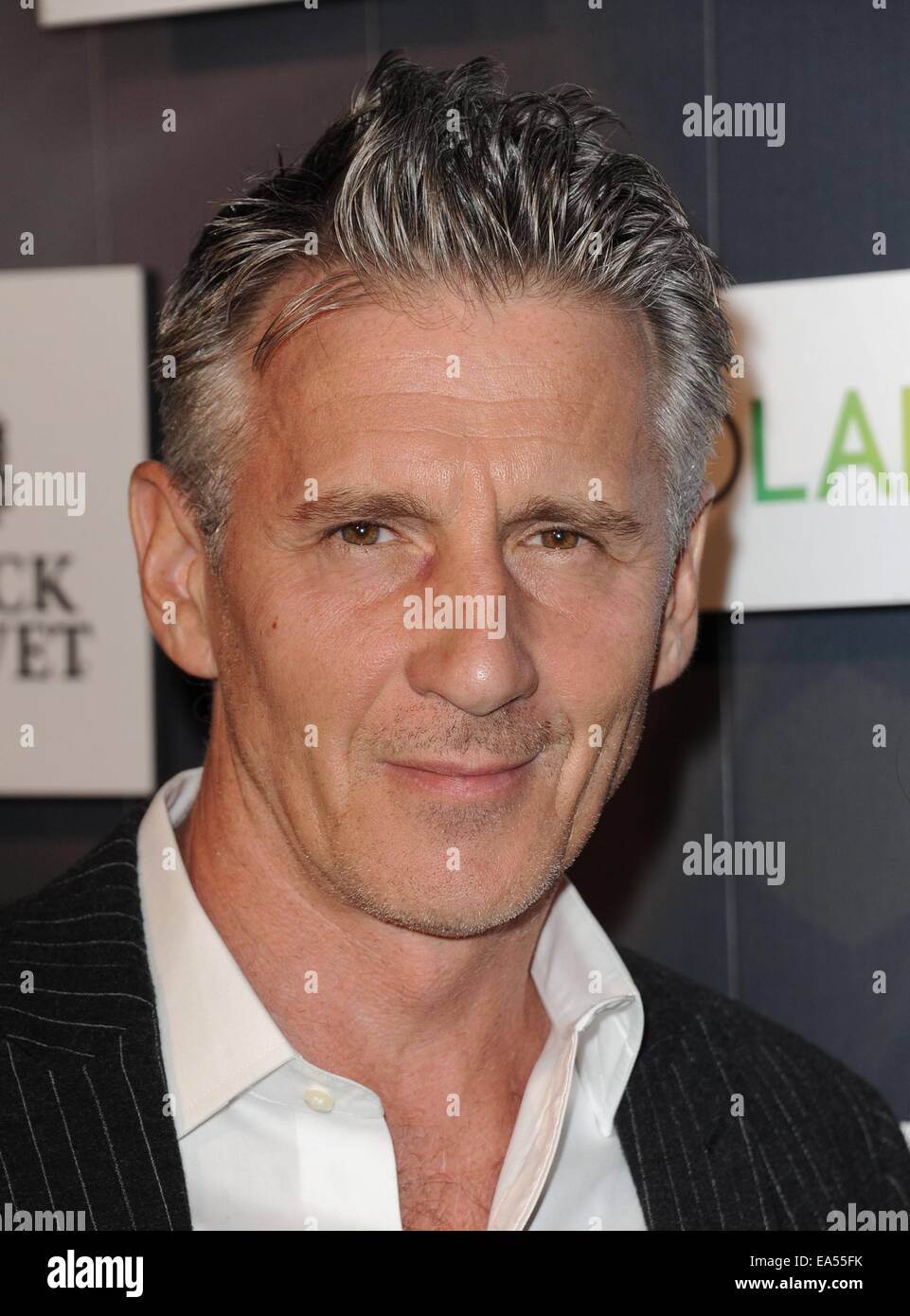 Los Angeles, CA, USA. 6th Nov, 2014. Christopher Stanley at arrivals ...