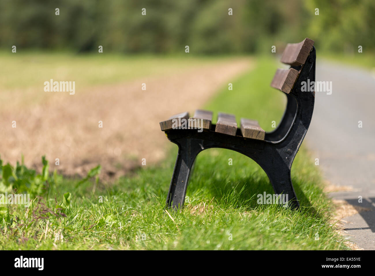 Lonely bench in nature Stock Photo - Alamy