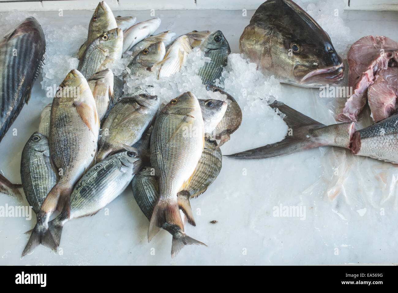 Fresh frozen fish hi-res stock photography and images - Alamy