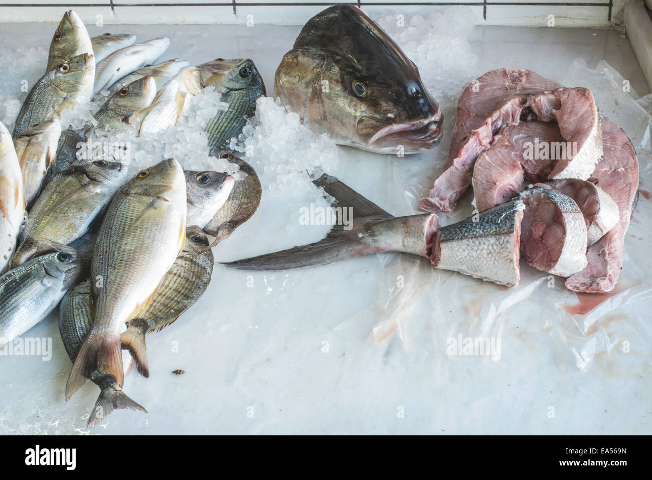 Silver bass fish hi-res stock photography and images - Alamy