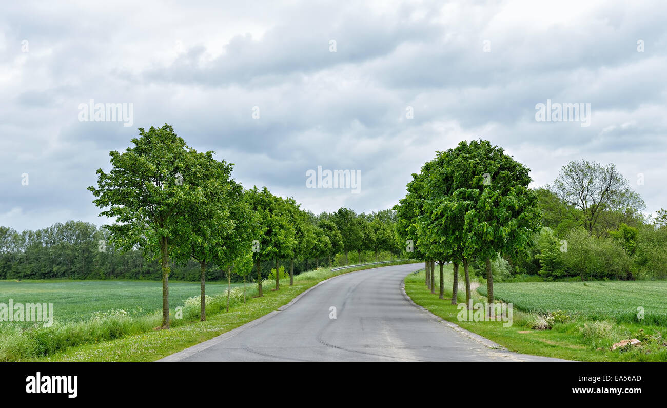 Typical road landscape in Walloon, province Liege in Belgium in a calm ...