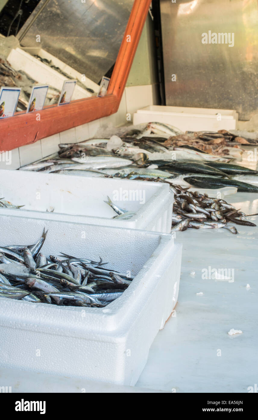 Fish on ice in the market Stock Photo - Alamy