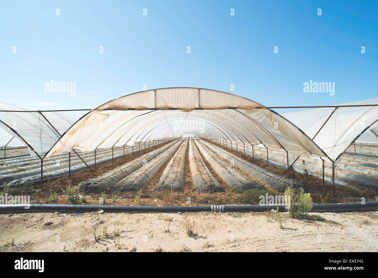 Greenhouse without plants. Sunlight Stock Photo - Alamy