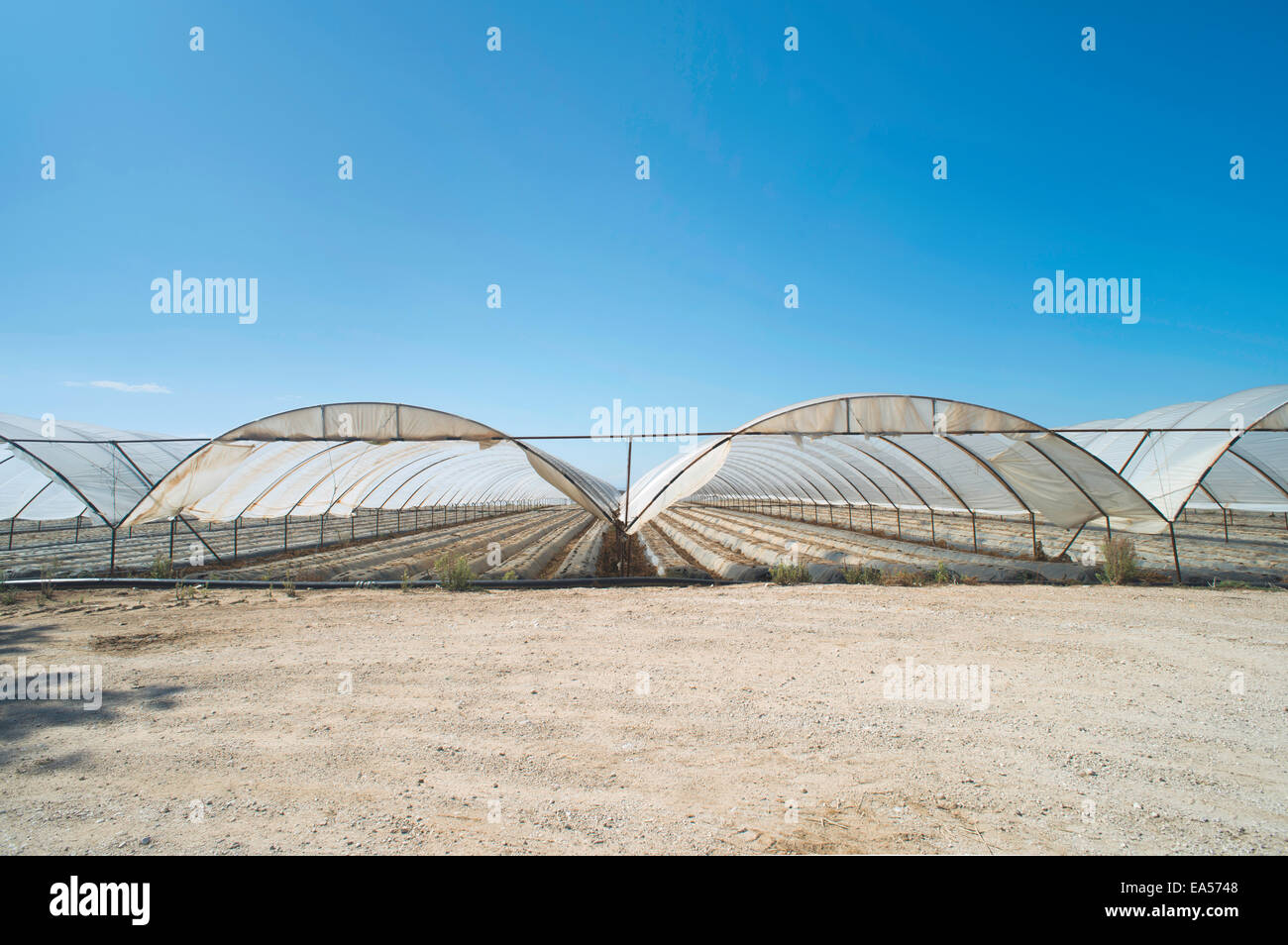 Greenhouse without plants. Sunlight Stock Photo - Alamy