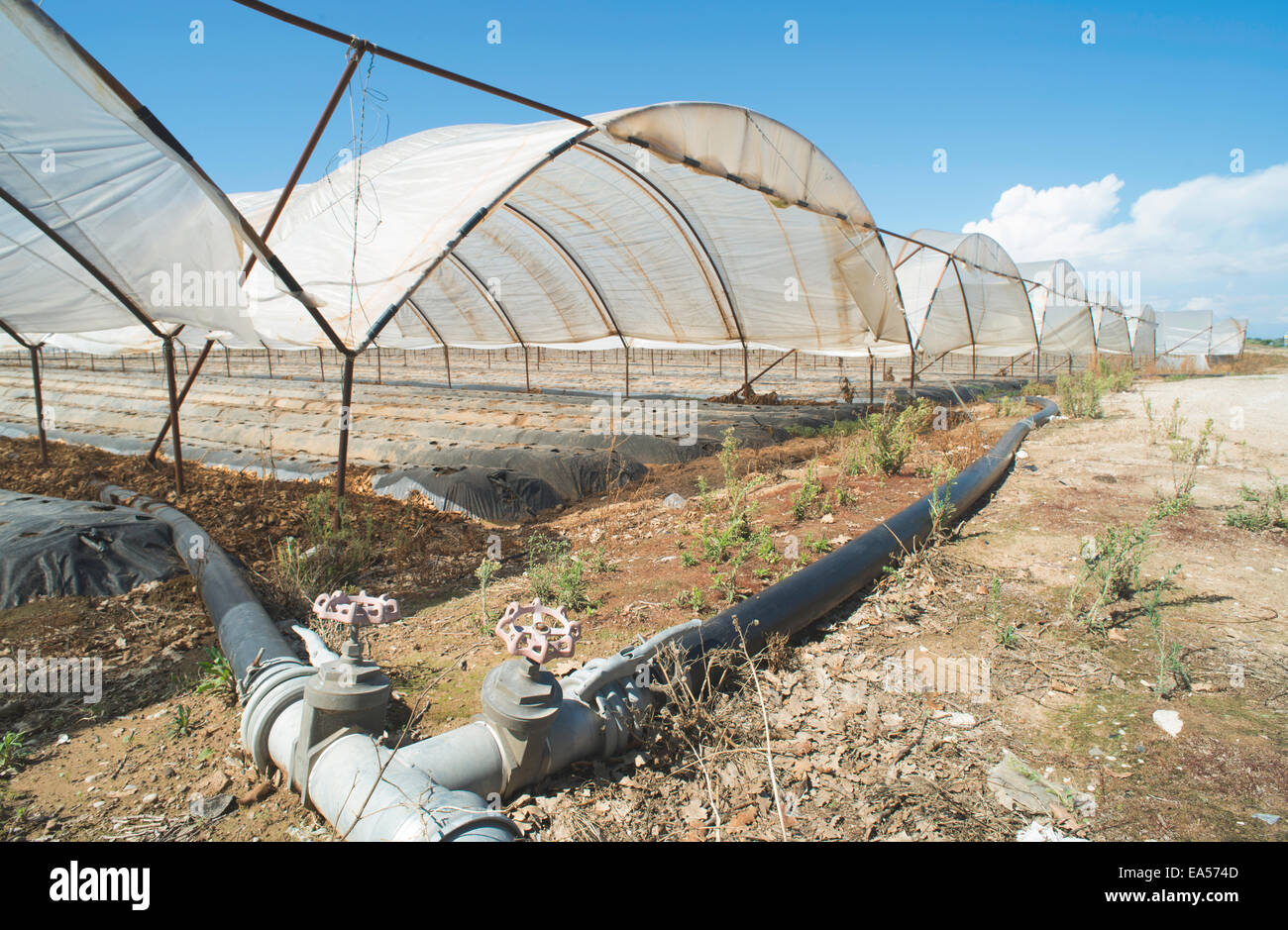 Greenhouse without plants hi-res stock photography and images - Alamy