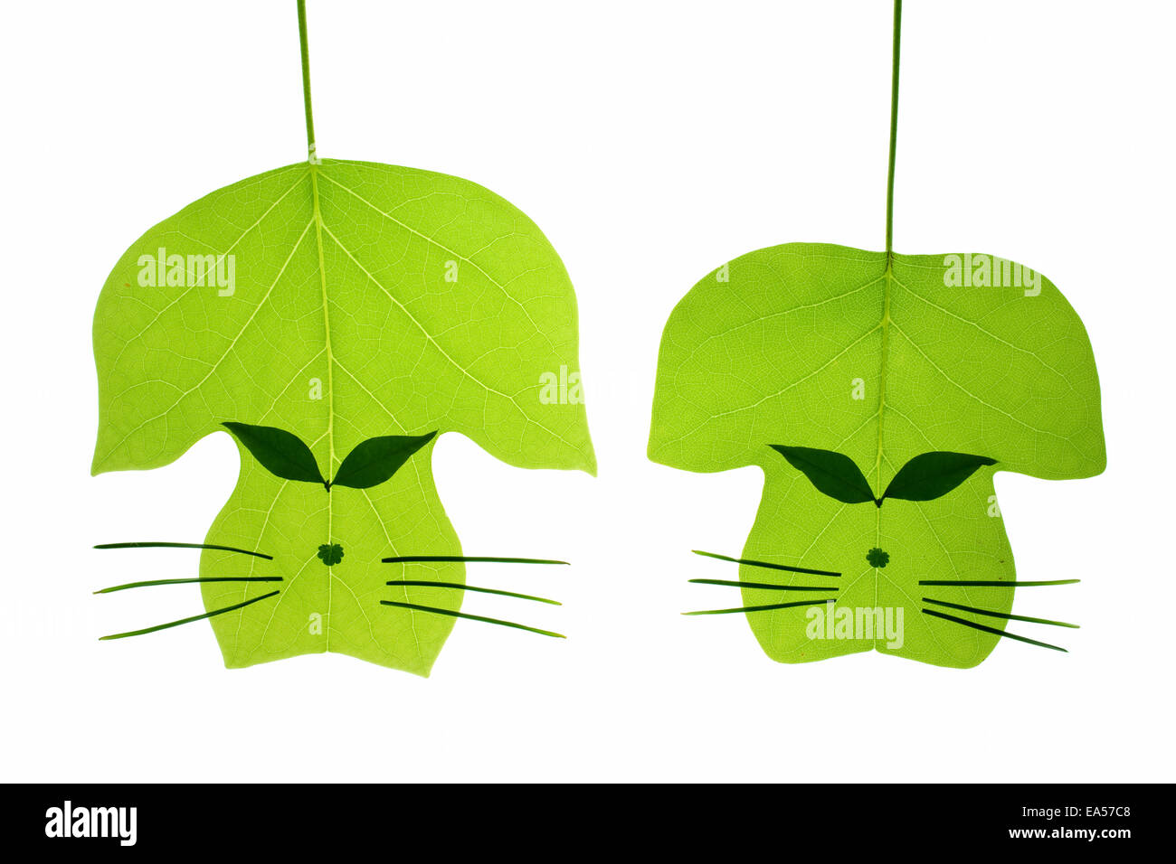 Two characters Cut Out Stock Images & Pictures - Alamy