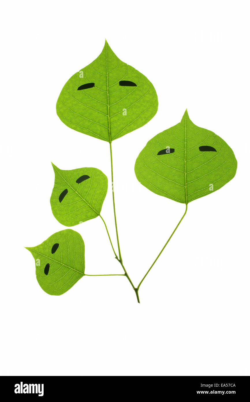 Multiple characters Cut Out Stock Images & Pictures - Alamy