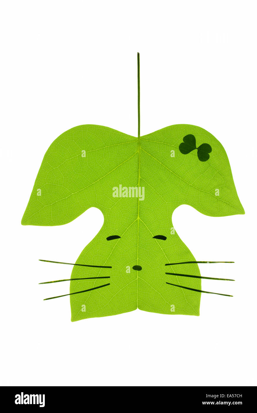 Leaf character hi-res stock photography and images - Alamy