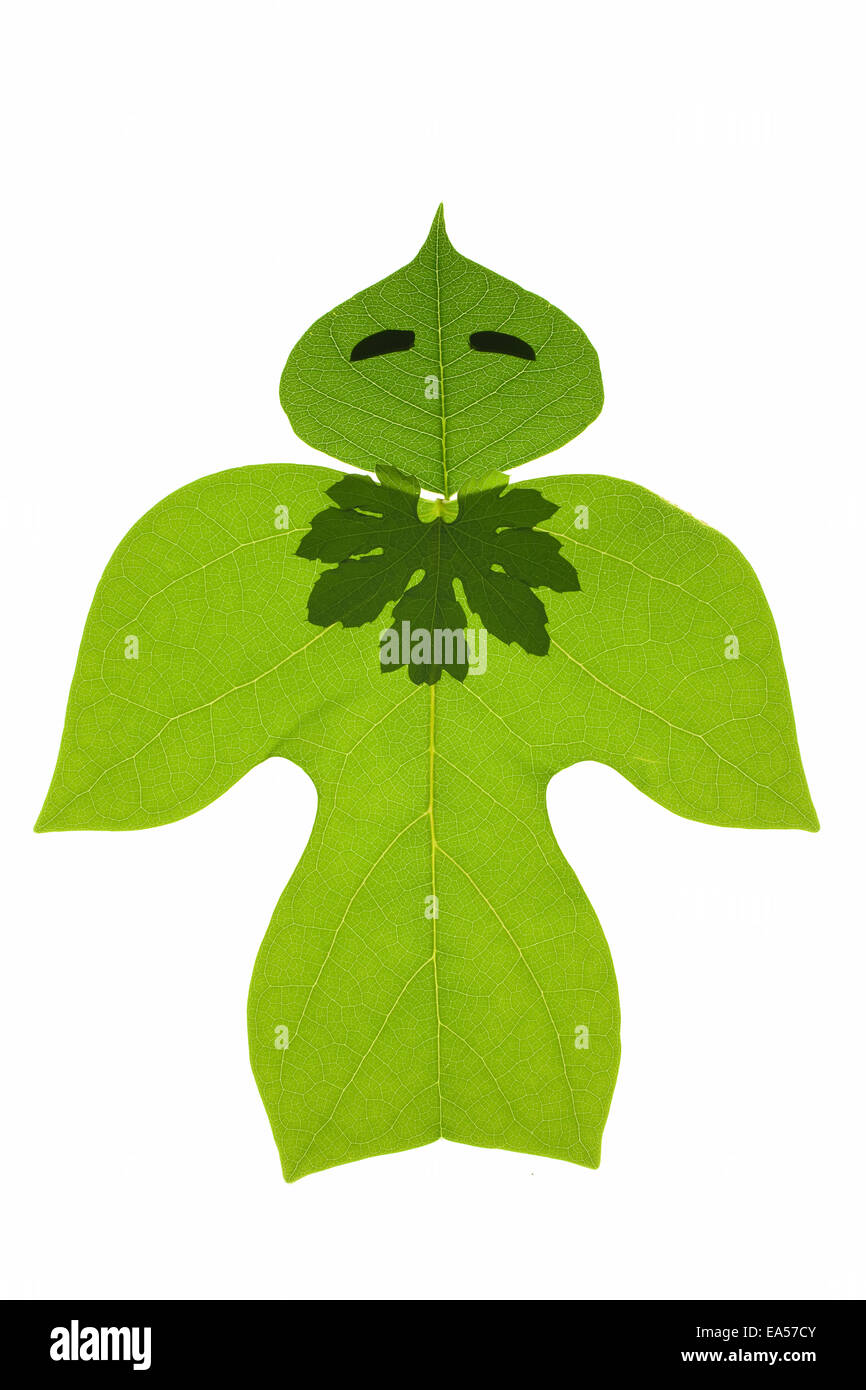 Character material hi-res stock photography and images - Alamy