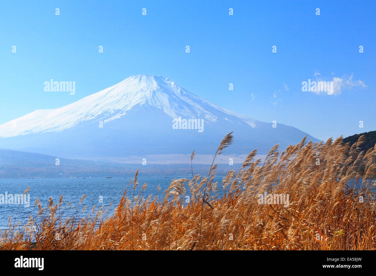 View of Mount Fuji Stock Photo - Alamy