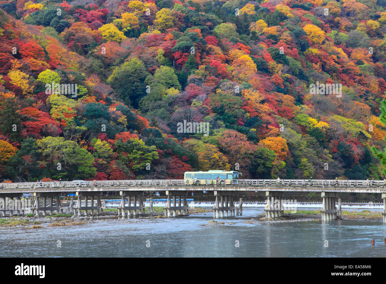 Red Bus Japan High Resolution Stock Photography and Images - Alamy