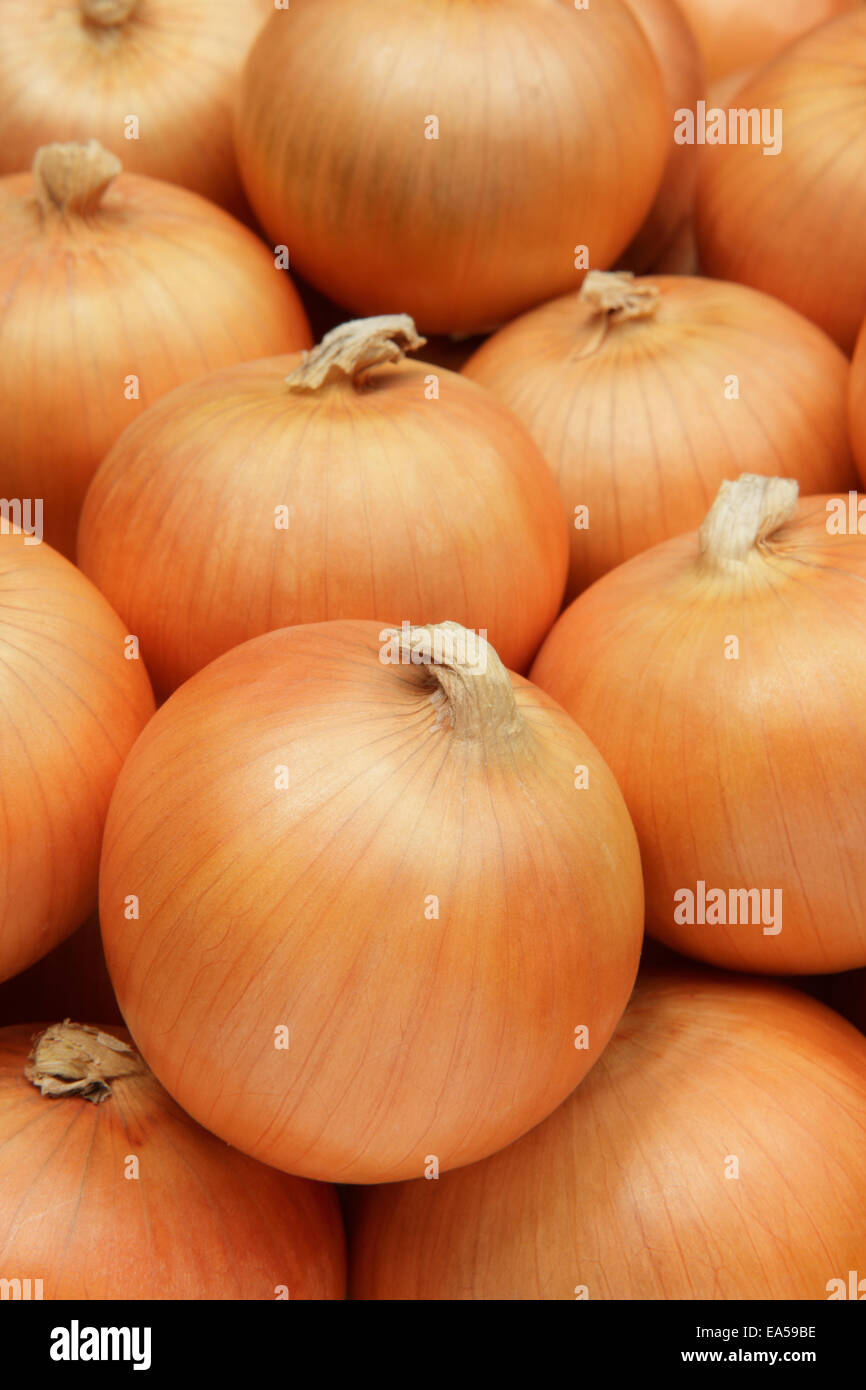 Longitudinal onion hi-res stock photography and images - Alamy