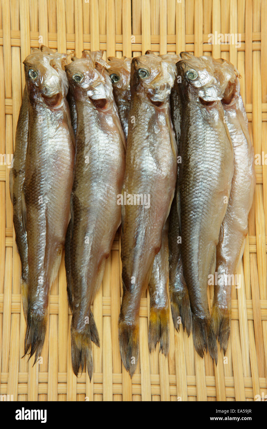 Shishamo Fish High Resolution Stock Photography and Images - Alamy