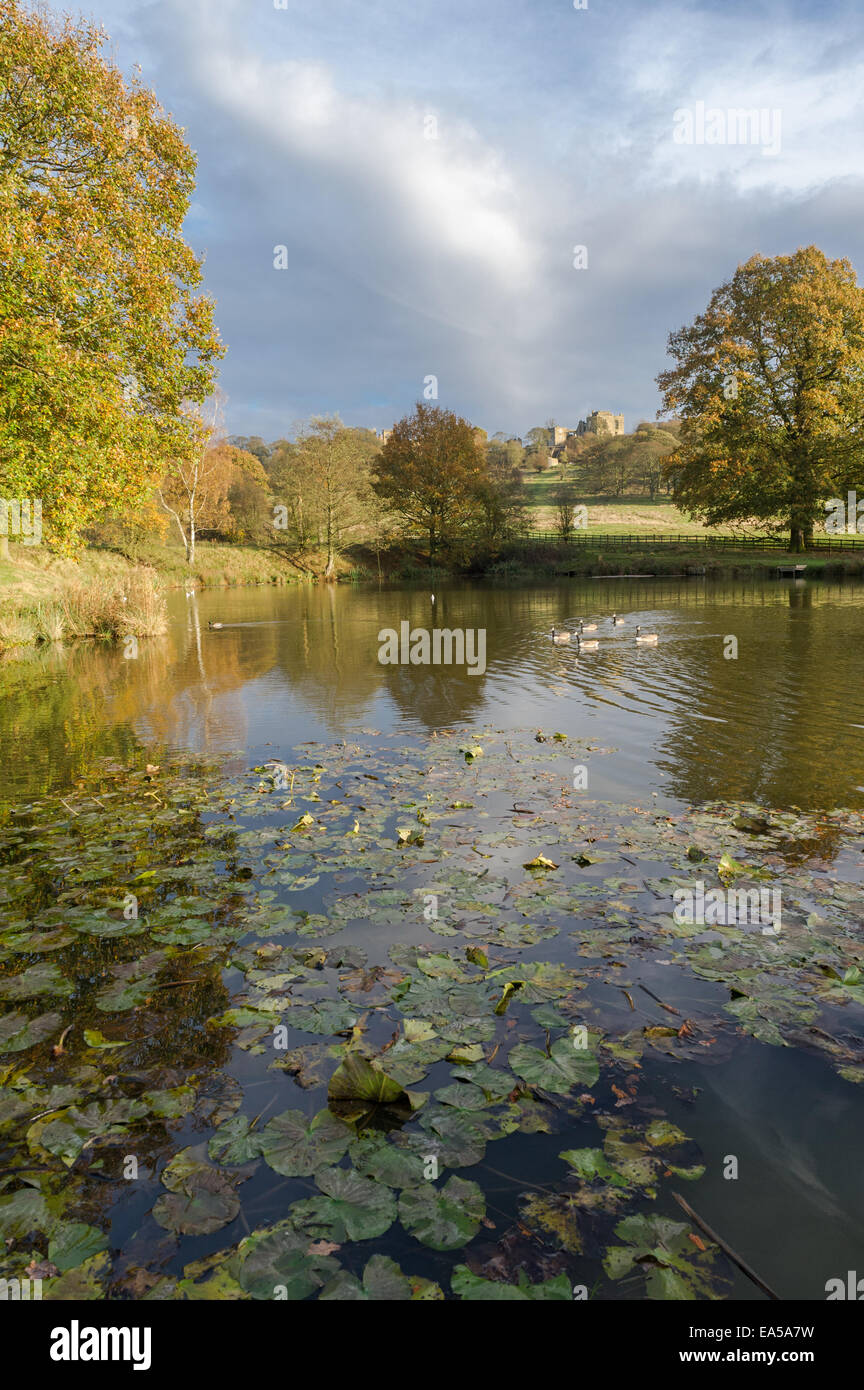 Hardwick pond hi-res stock photography and images - Alamy