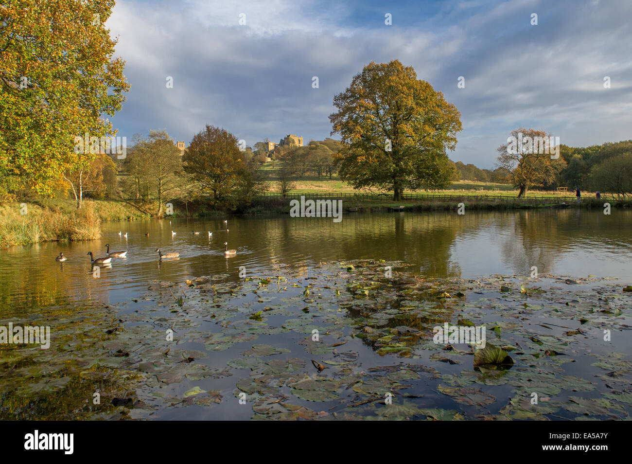 Hall of the lilies hi-res stock photography and images - Alamy