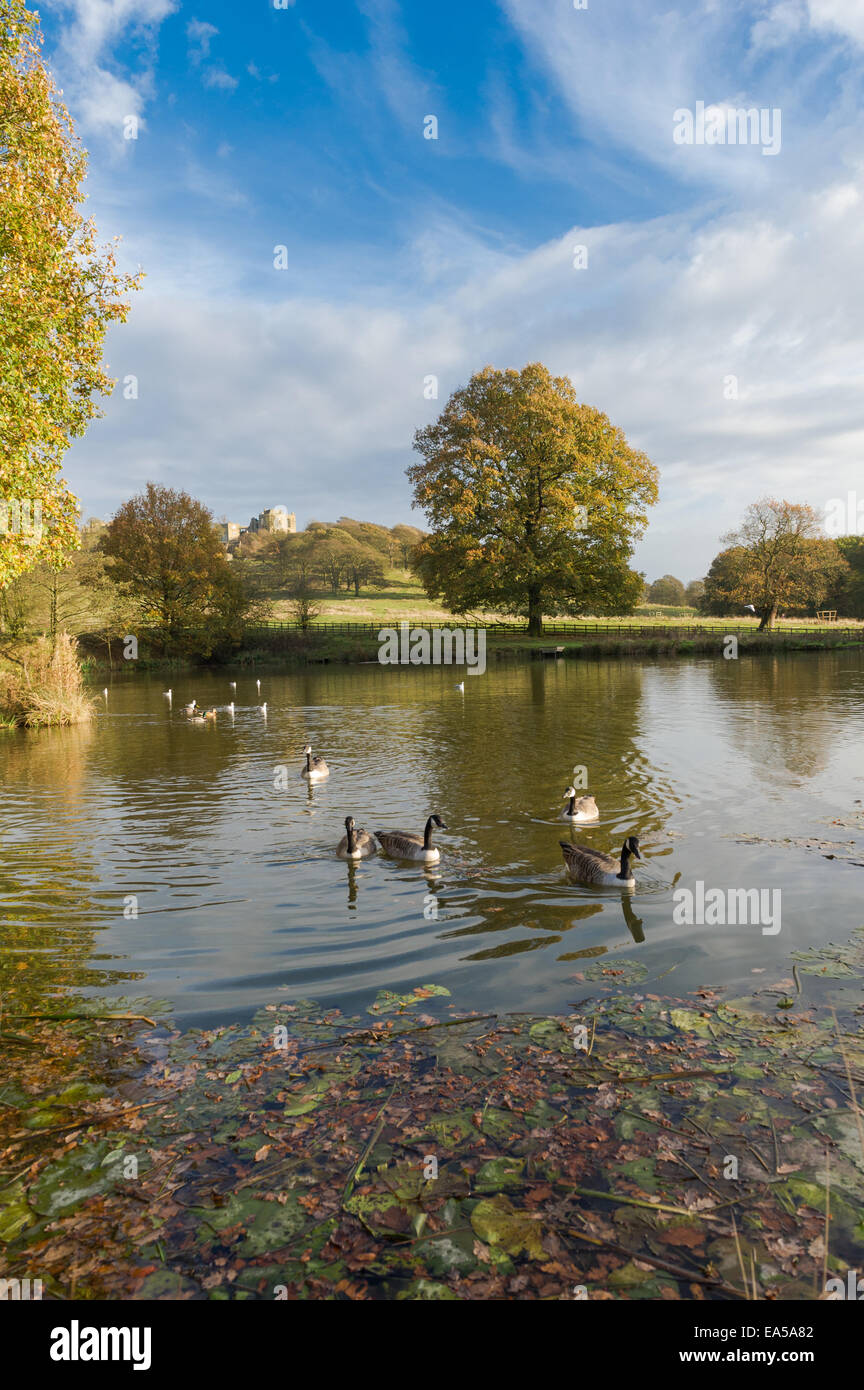 Hardwick pond hi-res stock photography and images - Alamy