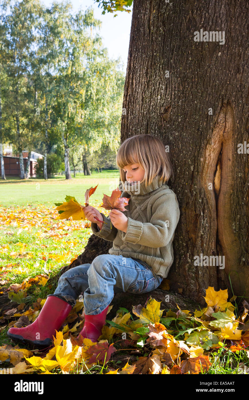 Little girl leaning at tree trunk looking at bunch of autumn leaves in ...