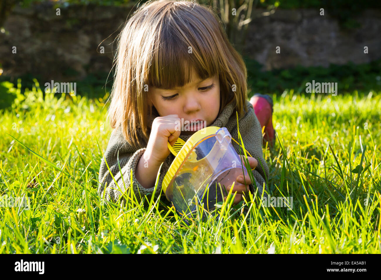 Little girl lying on a meadow with insect can watching fire bugs ...