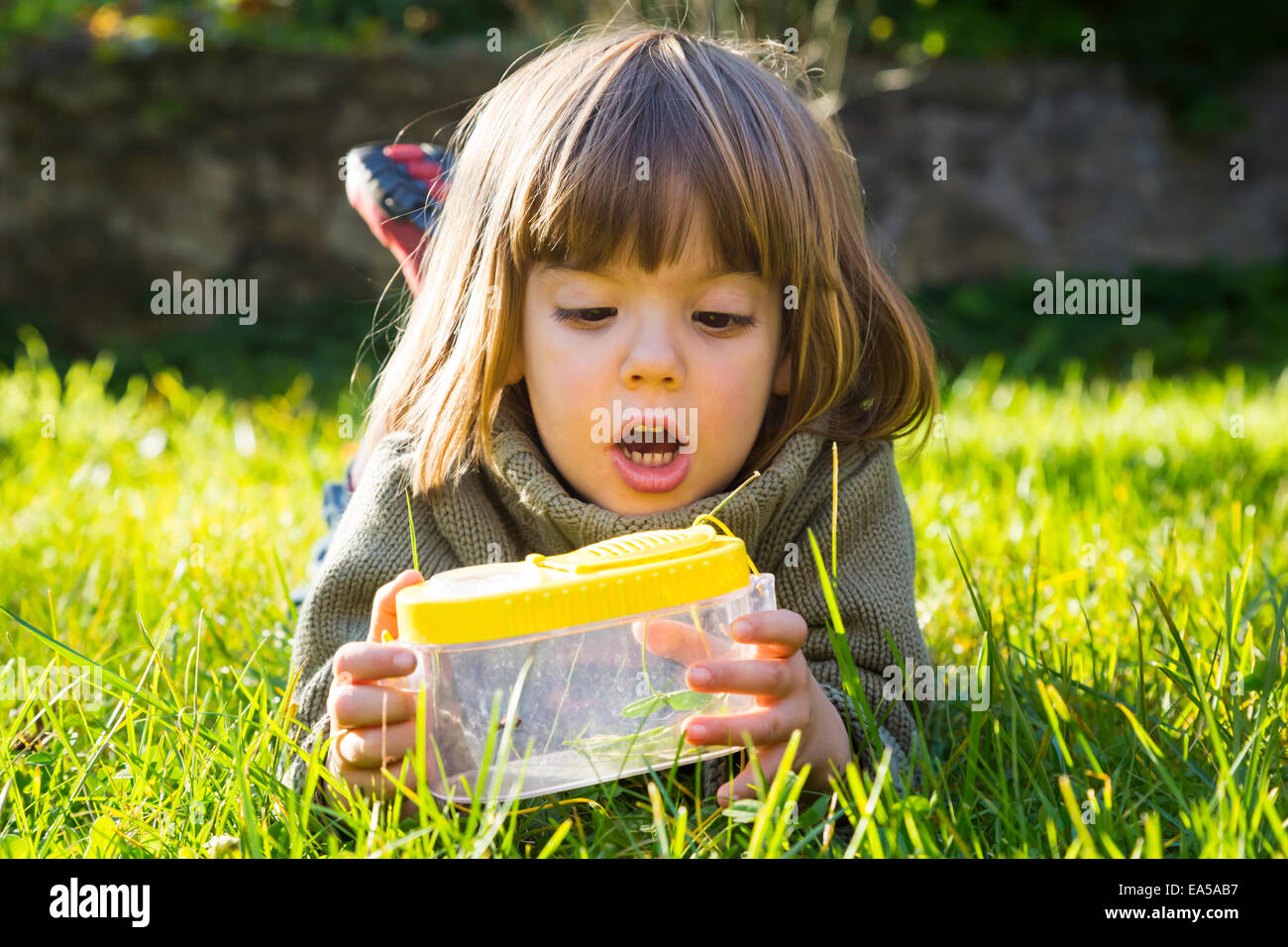 Little girl lying on a meadow with insect can watching fire bugs ...