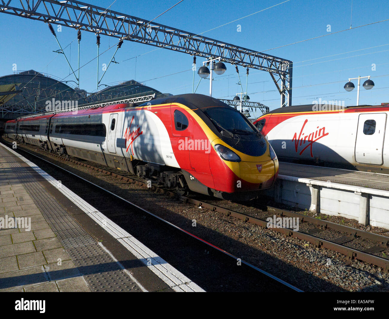 Are Dogs Permitted On Virgin Trains
