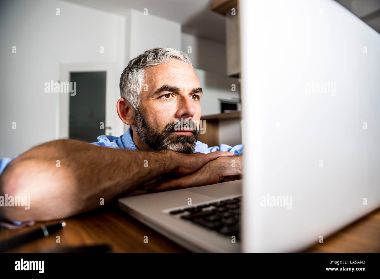 Portrait of man staring at his laptop Stock Photo - Alamy